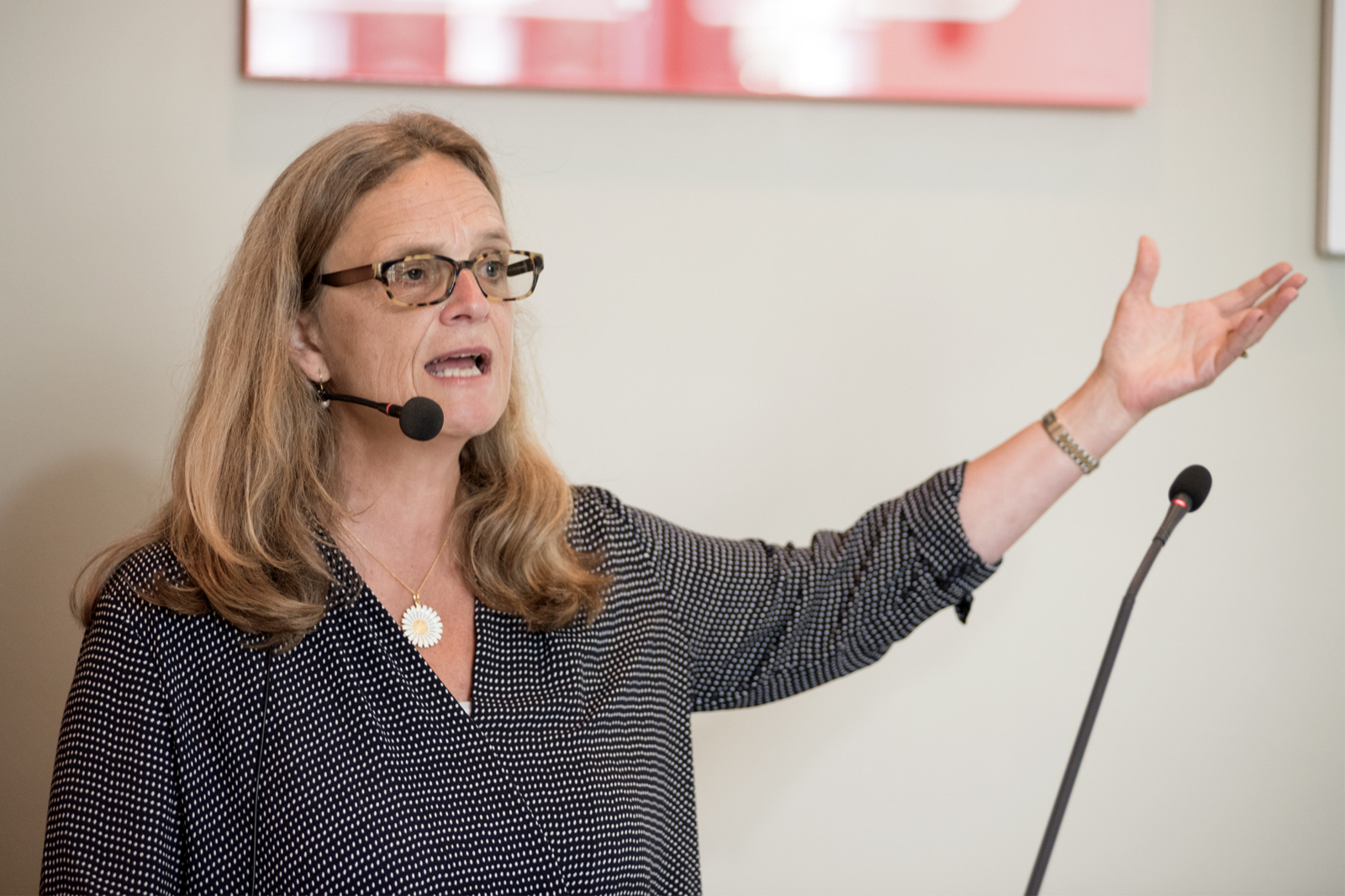 Lise Vesterlund: Fix the organization, not the women - SNS